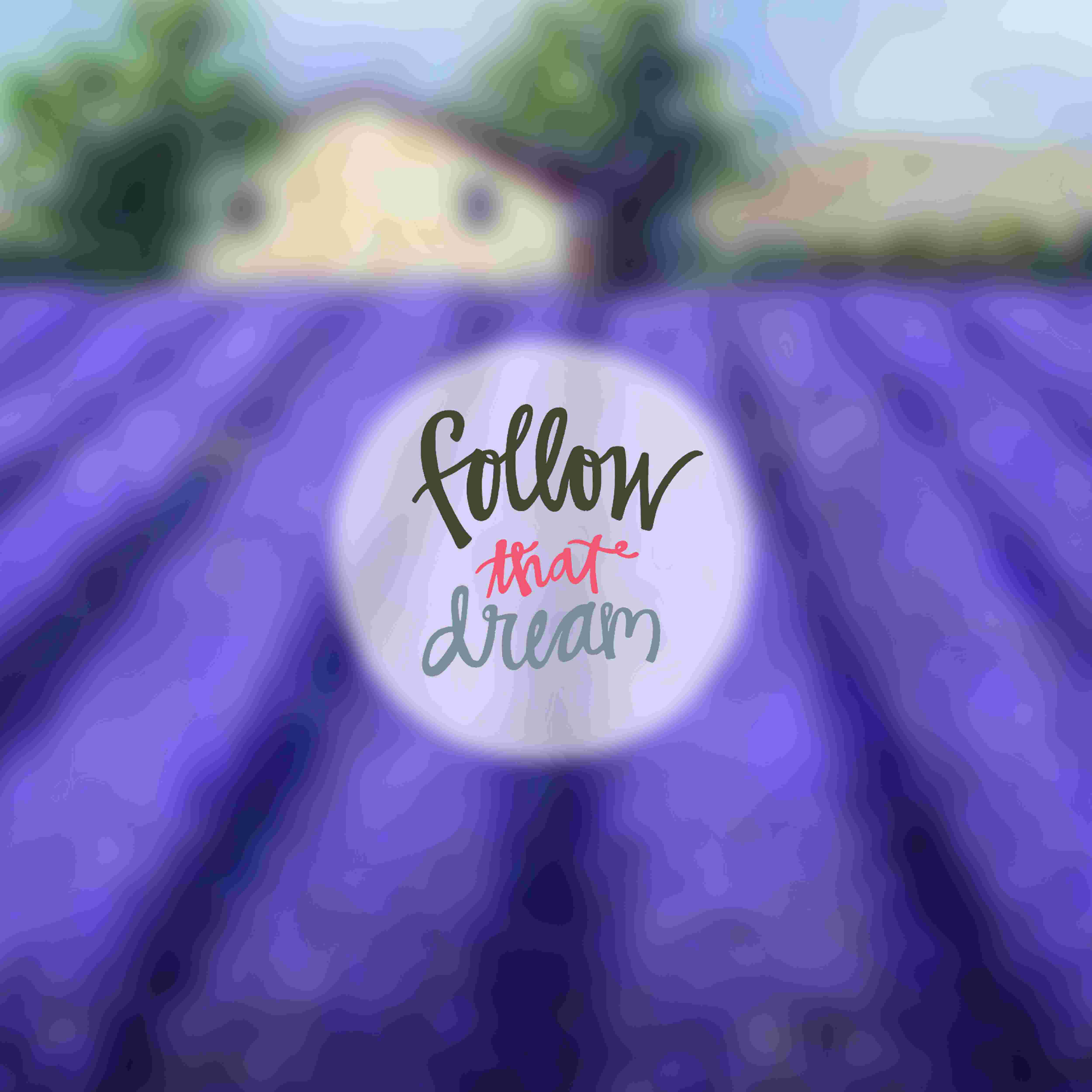 Trinx Follow Dream Fade - Wayfair Canada