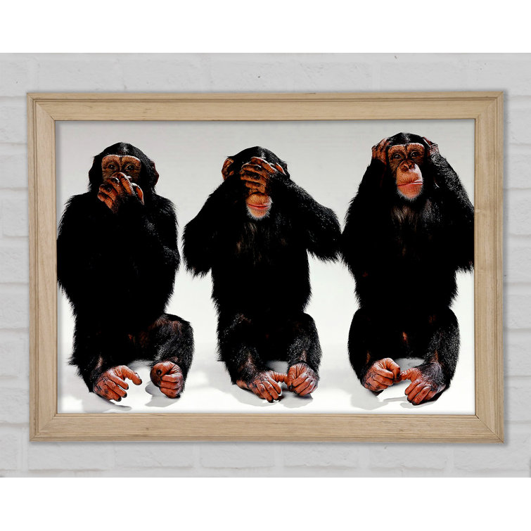 Latitude Vive Three Wise Monkeys - Single Picture Frame Art Prints ...