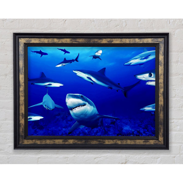 Bright Star Sharks Ocean - Single Picture Frame Art Prints | Wayfair.co.uk