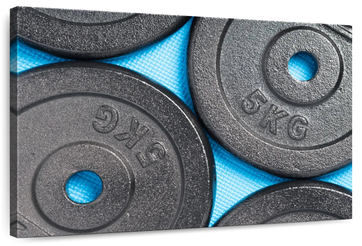 Ebern Designs Sireci 5KG Weight Plates | Wayfair
