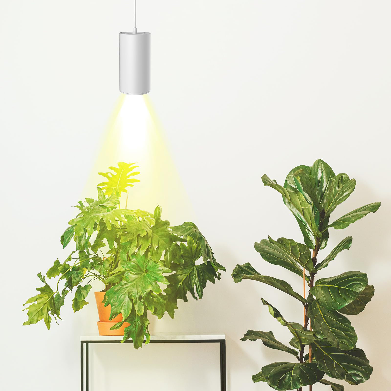 UNIVERSAL WINDOW SOLUTIONS Pendant Grow Lights,30W Full Spectrum Plant ...