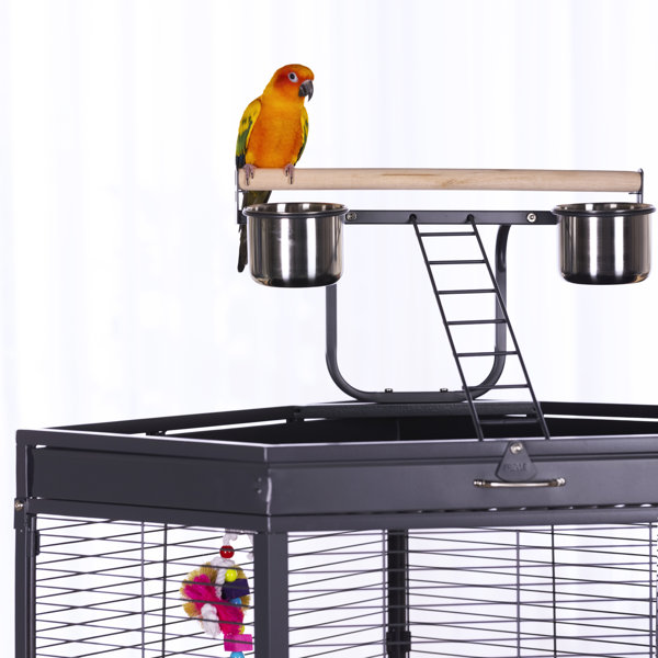 Prevue Hendryx Corner Bird Cage & Reviews | Wayfair