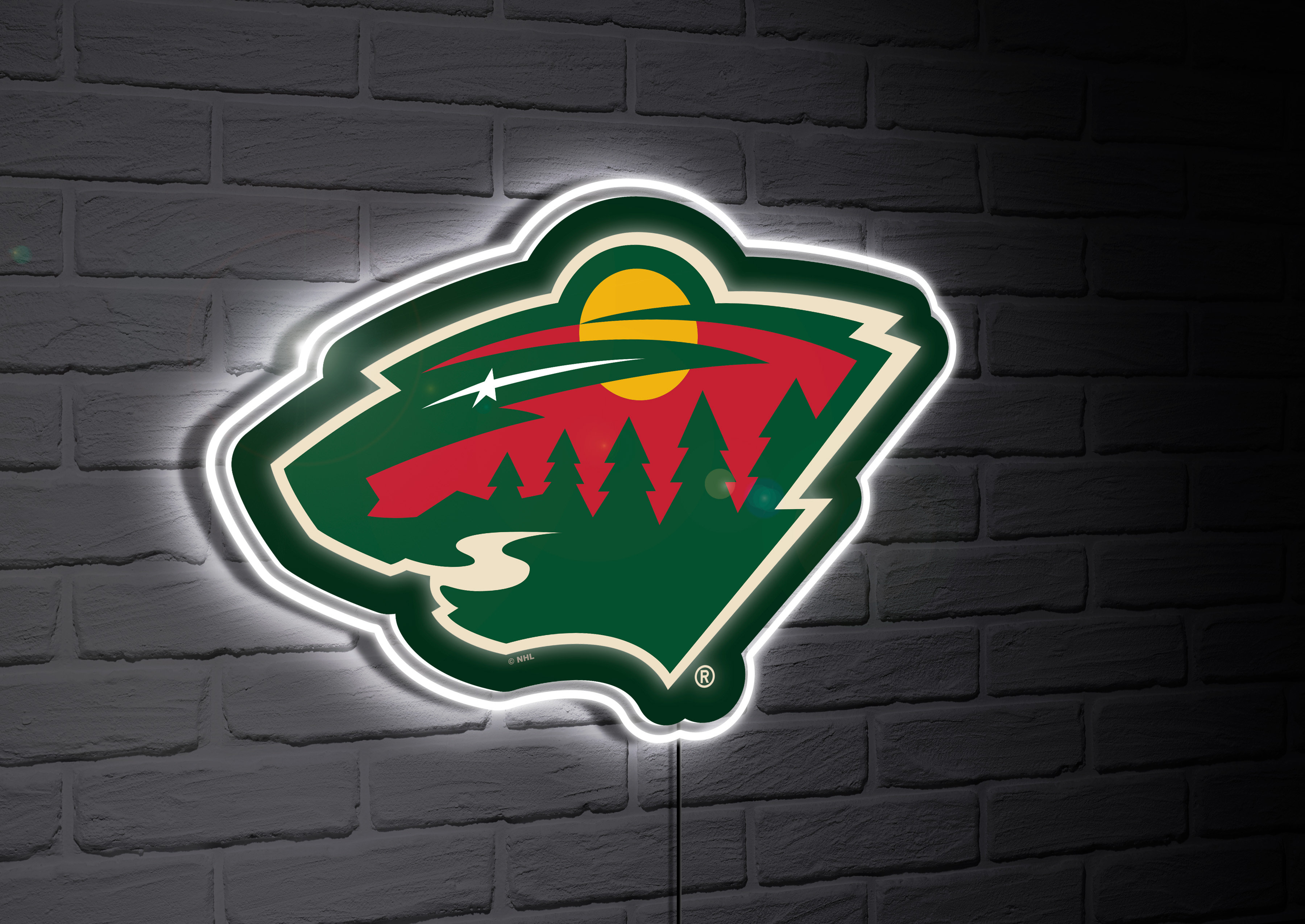 Evergreen Enterprises, Inc NHL Team Logo Shaped LED Lighted Wall Sign ...