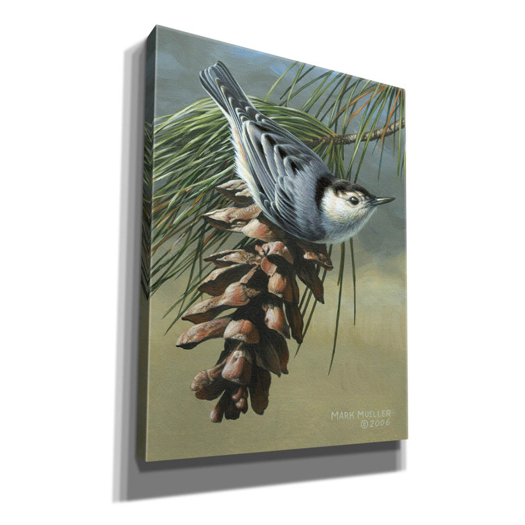 Wildon Home® Pine Cone Perch - White-Breasted Nuthatch On Canvas by ...