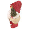Design Toscano Lighting Santa's Path Whitey the Holiday Gnome Statue ...