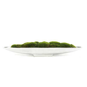 Jenny Silks 5" Artificial Moss Grass in Boat Tray & Reviews | Perigold