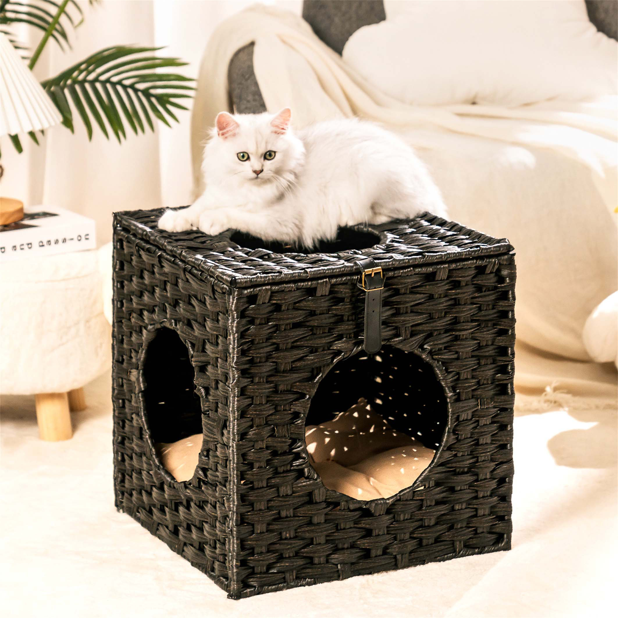 Tucker Murphy Pet™ Bhure Square Cat Bed & Reviews | Wayfair