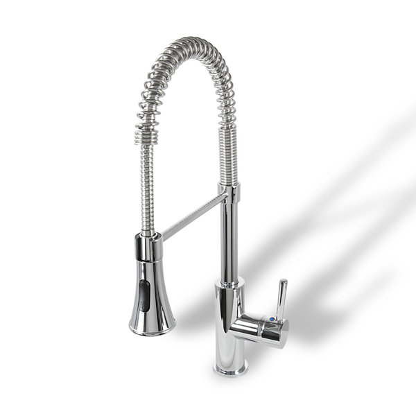 Ultra Faucets Euro Pull Down Kitchen Faucet - Wayfair Canada