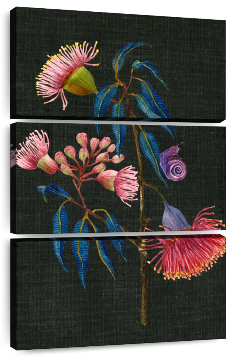 Elephant Stock Gum Nuts II | Wayfair