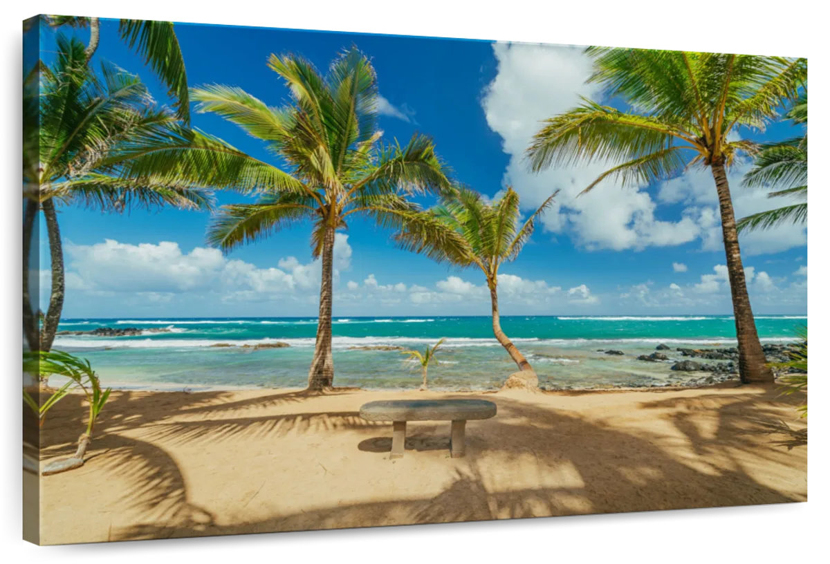 Elephant Stock Kuau Cove Beach - Wayfair Canada
