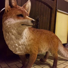 Hi-Line Gift Ltd. Walking Fox Statue & Reviews | Wayfair