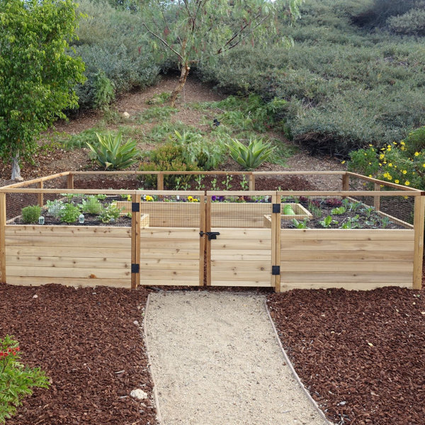 Outdoor Living Today 12x8 Raised Garden Bed | Wayfair