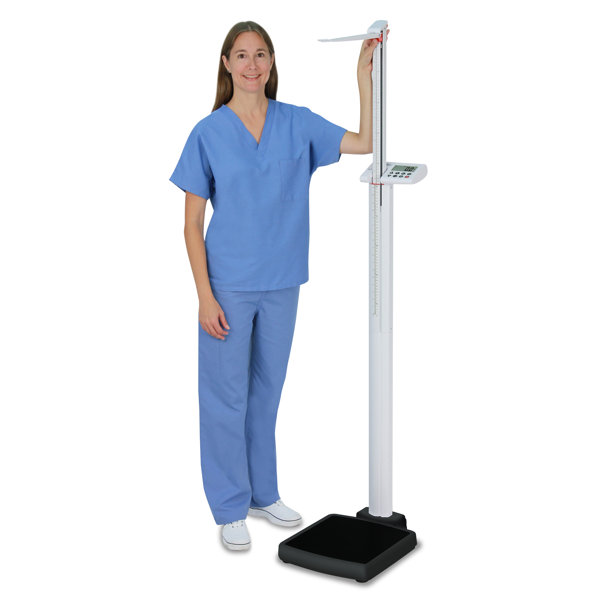 Detecto Solo Bathroom Scale - Wayfair Canada