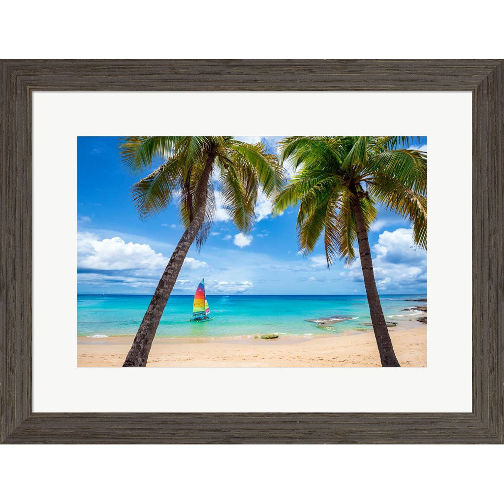 Bayou Breeze Postcard From Paradise by Lizzy Davis - Picture Frame ...