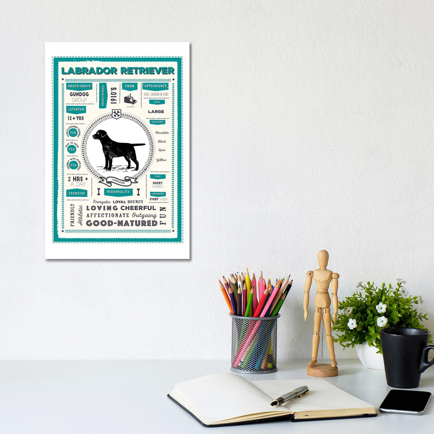 ClassicLiving Labrador Retriever Infographic Blue by PaperPaintPixels ...