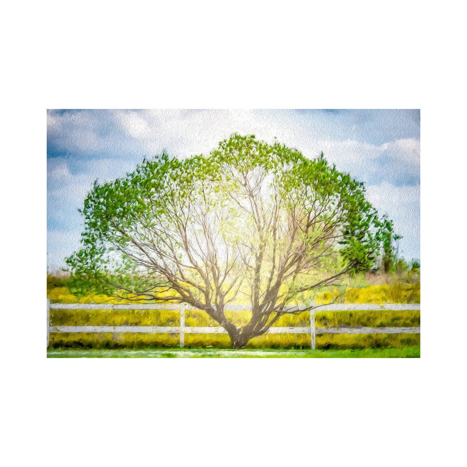 East Urban Home Arc Tree in Light of the Sun by Nik Rave - Wrapped ...