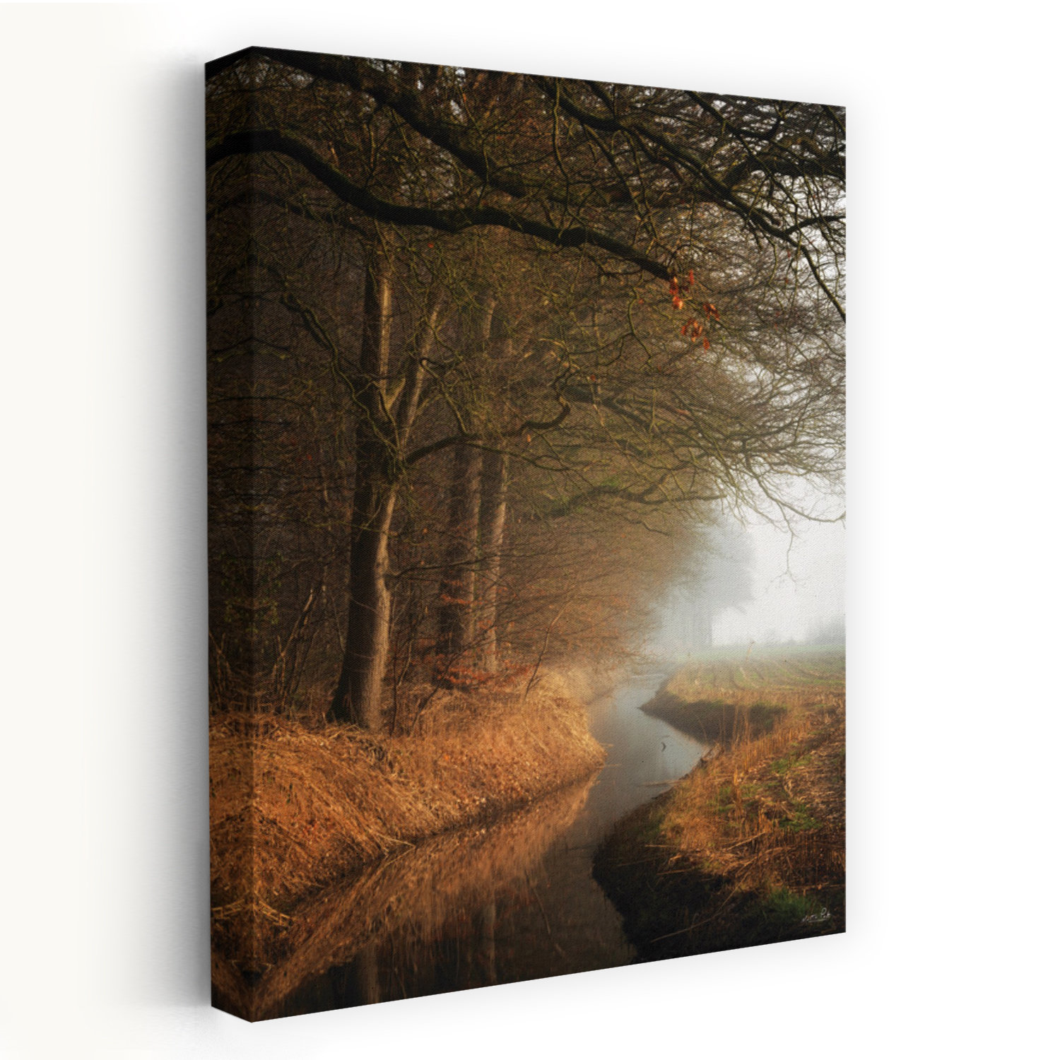 Millwood Pines Bend In The Stream - Contemporary Misty Forest Stream ...
