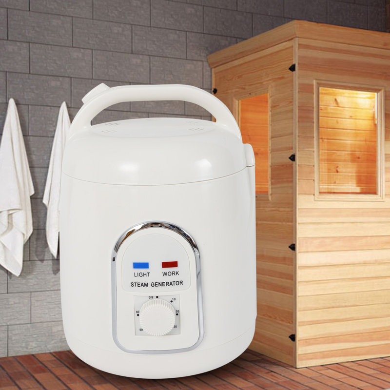 DALELEE 1.5L Sauna Steam Generator "& Reviews" | Wayfair