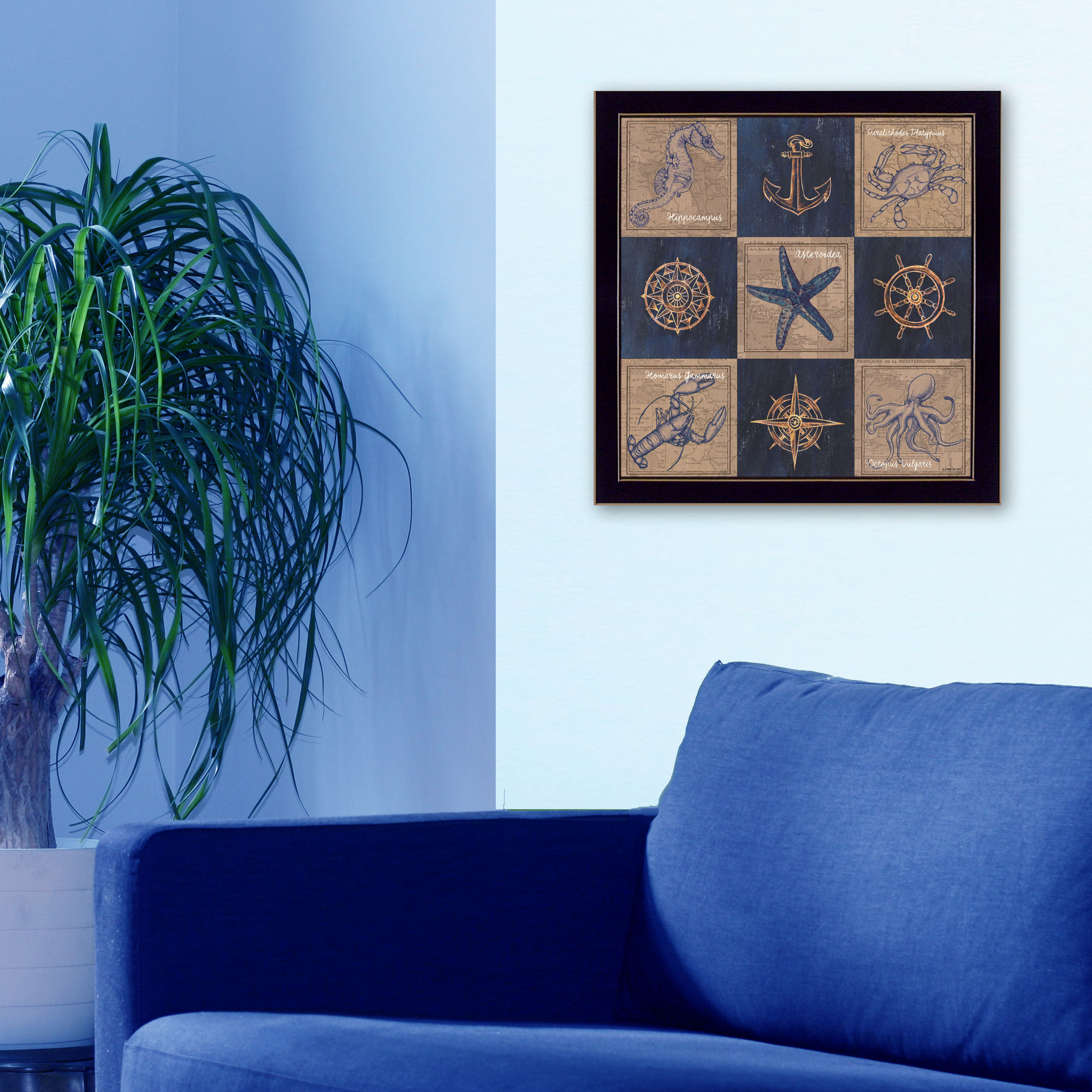 Trendy Decor 4U 'Coastal Collage I' Framed Graphic Art | Wayfair