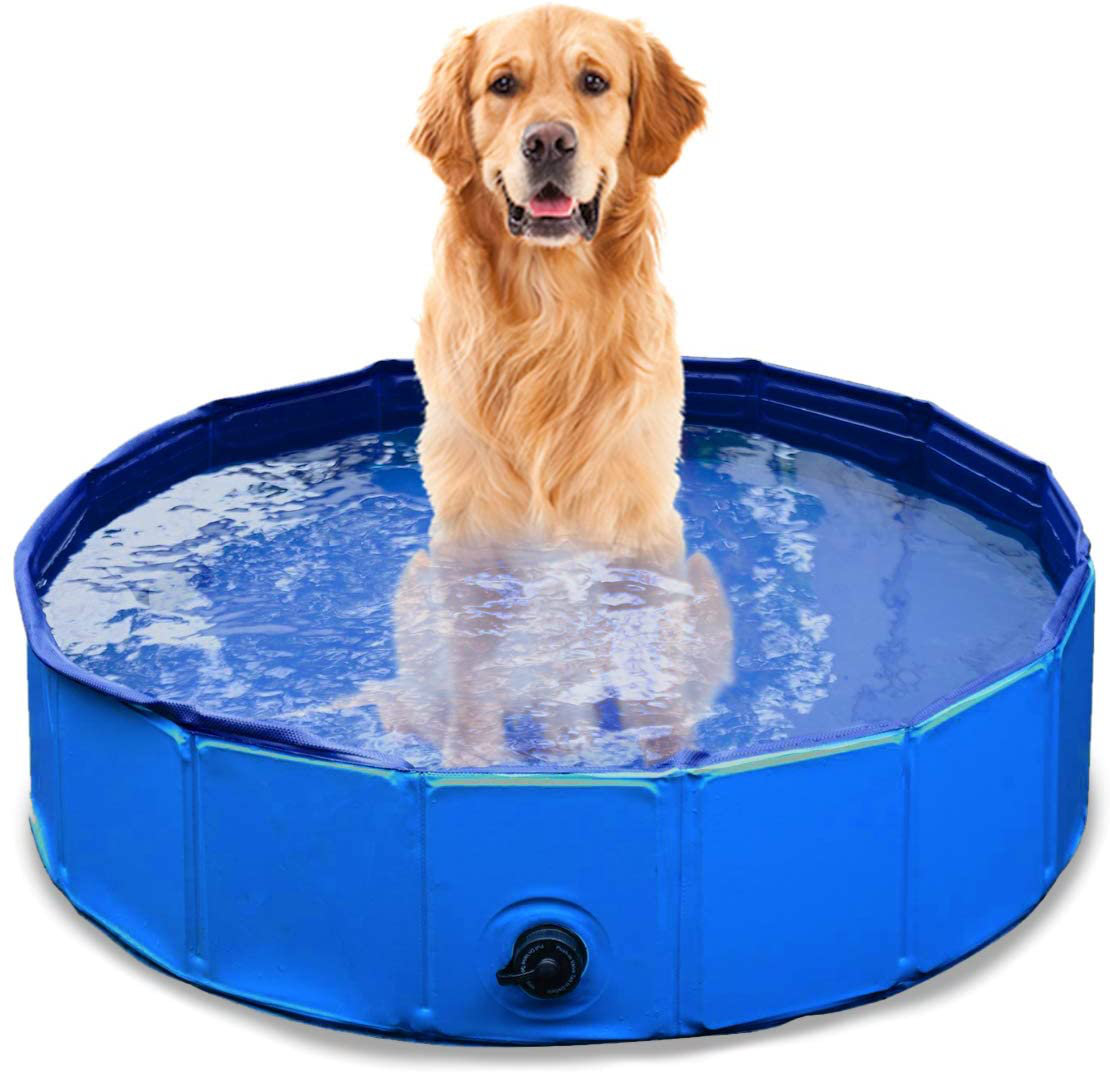 Zone Tech 1 ft x 1 ft x 3 ft Plastic Pet Pool | Wayfair