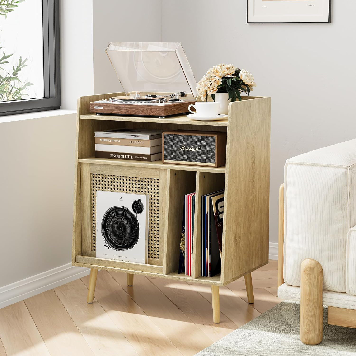 Bayou Breeze Vinyl Record Storage Stand With Rattan Cabinet Door ...