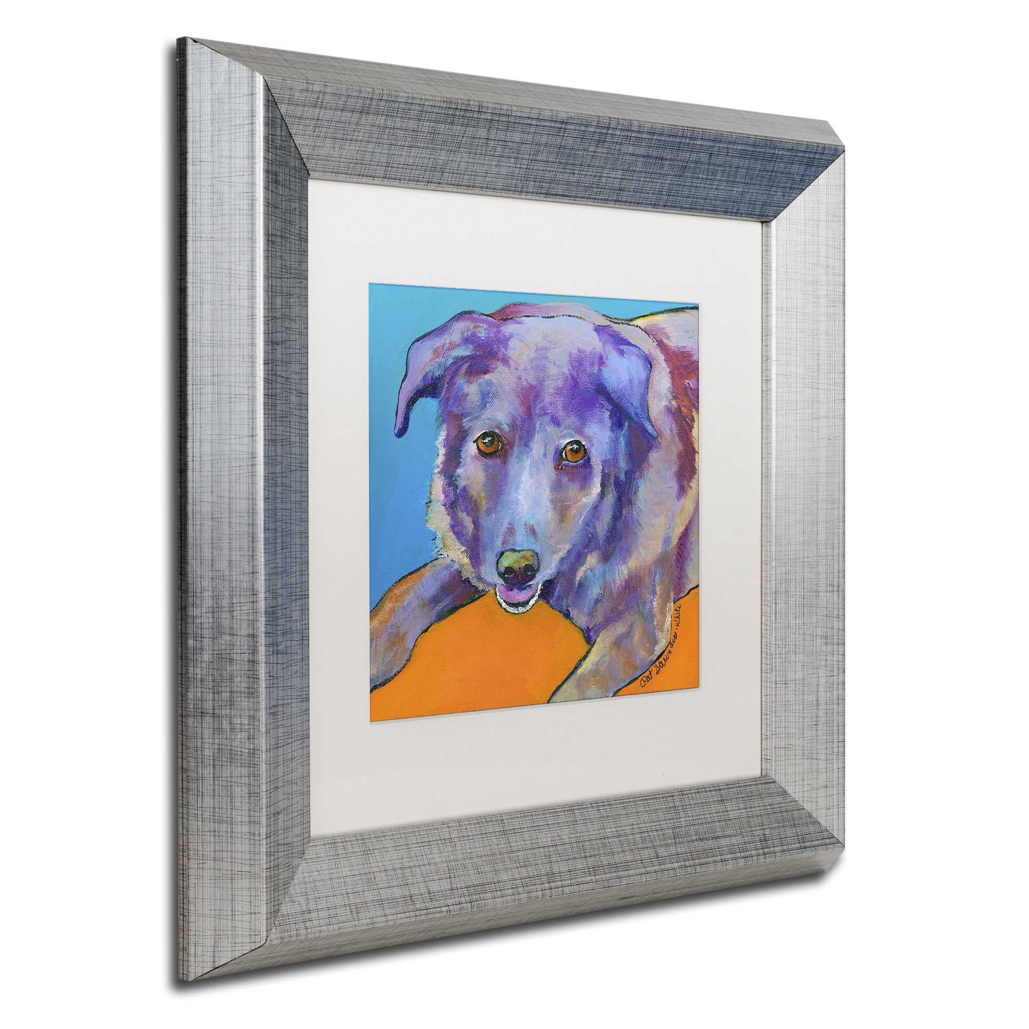 Trademark Fine Art 'Butch' by Pat Saunders-White Framed Print on Canvas ...