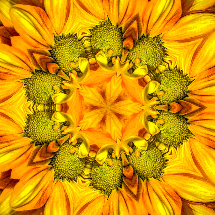 17 Stories Daisy Mandala by KenWiedemann - No Frame Art Prints on ...