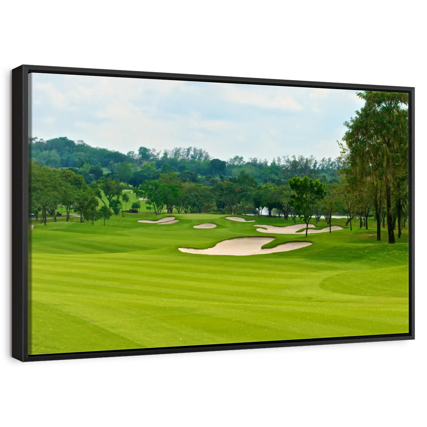 Ebern Designs Sireci Beautiful Golf Course | Wayfair