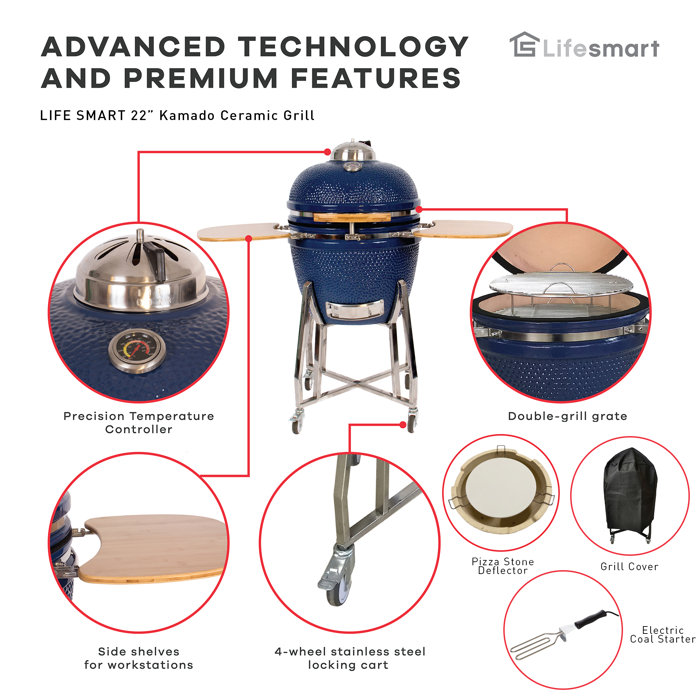 Lifesmart Charcoal Grill & Reviews | Wayfair