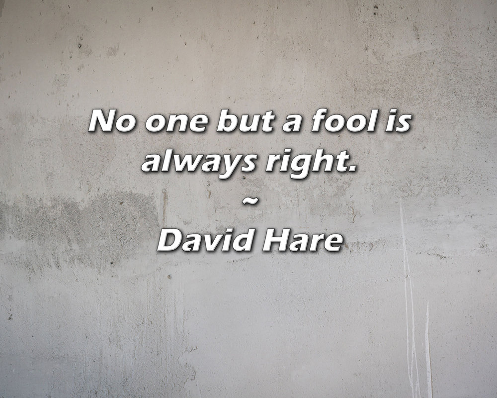 Ebern Designs Artsy Quote "No one but a fool is always right." By David ...