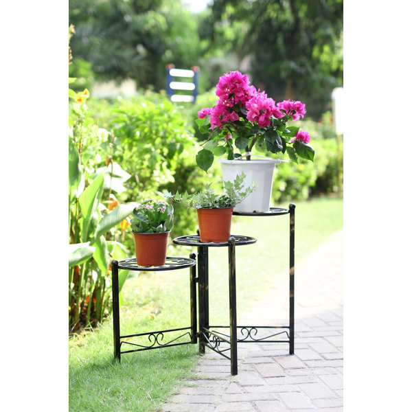 ORE Furniture 3 Tier Heart Clover Round Plant Stand & Reviews | Wayfair
