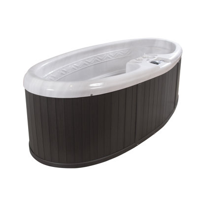 USA Spas 120 Volt 2 - Person 16 - Jet Acrylic Oval Plug And Play Hot ...