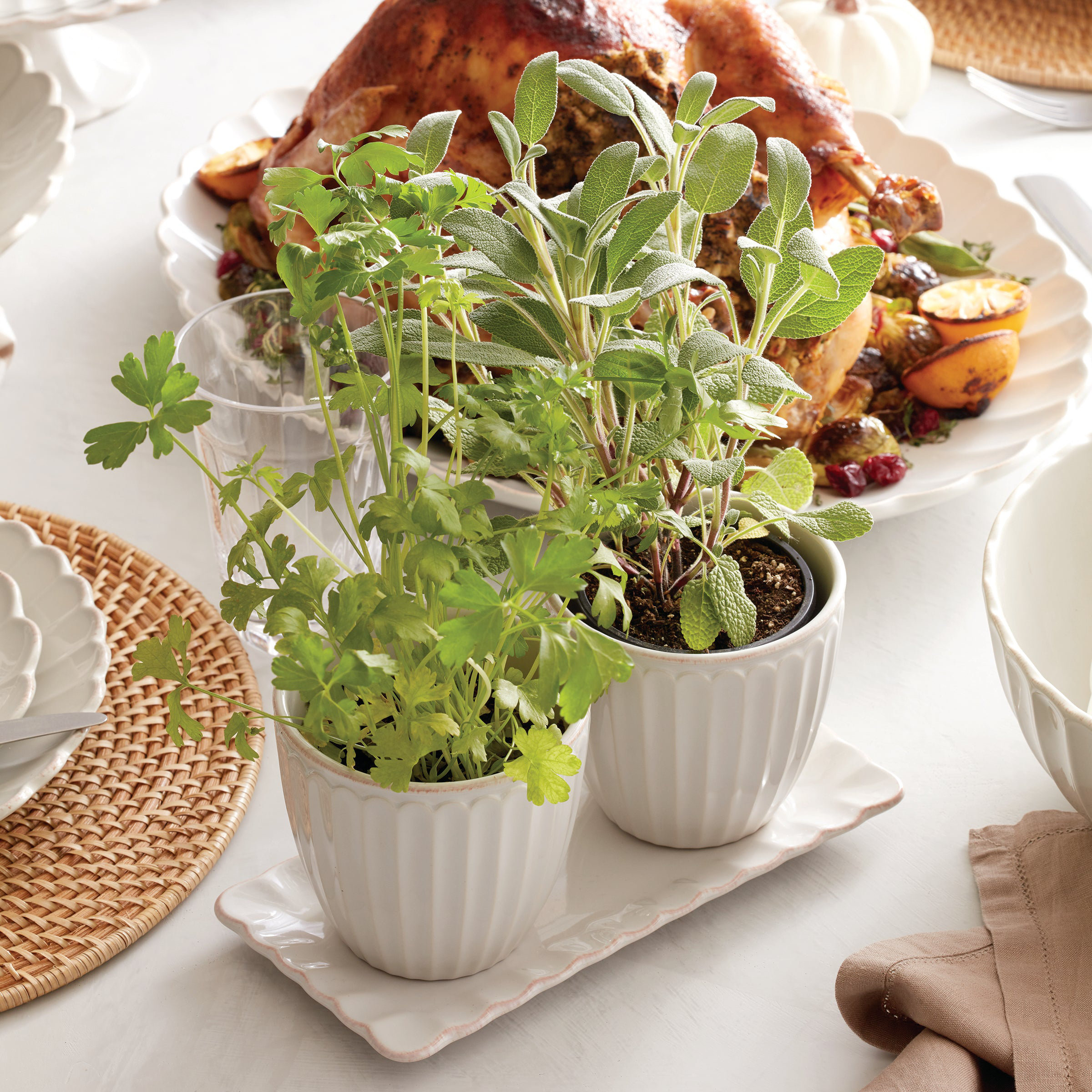 Lenox French Perle Scallop 3-Piece Herb Pots & Tray Set - Wayfair Canada