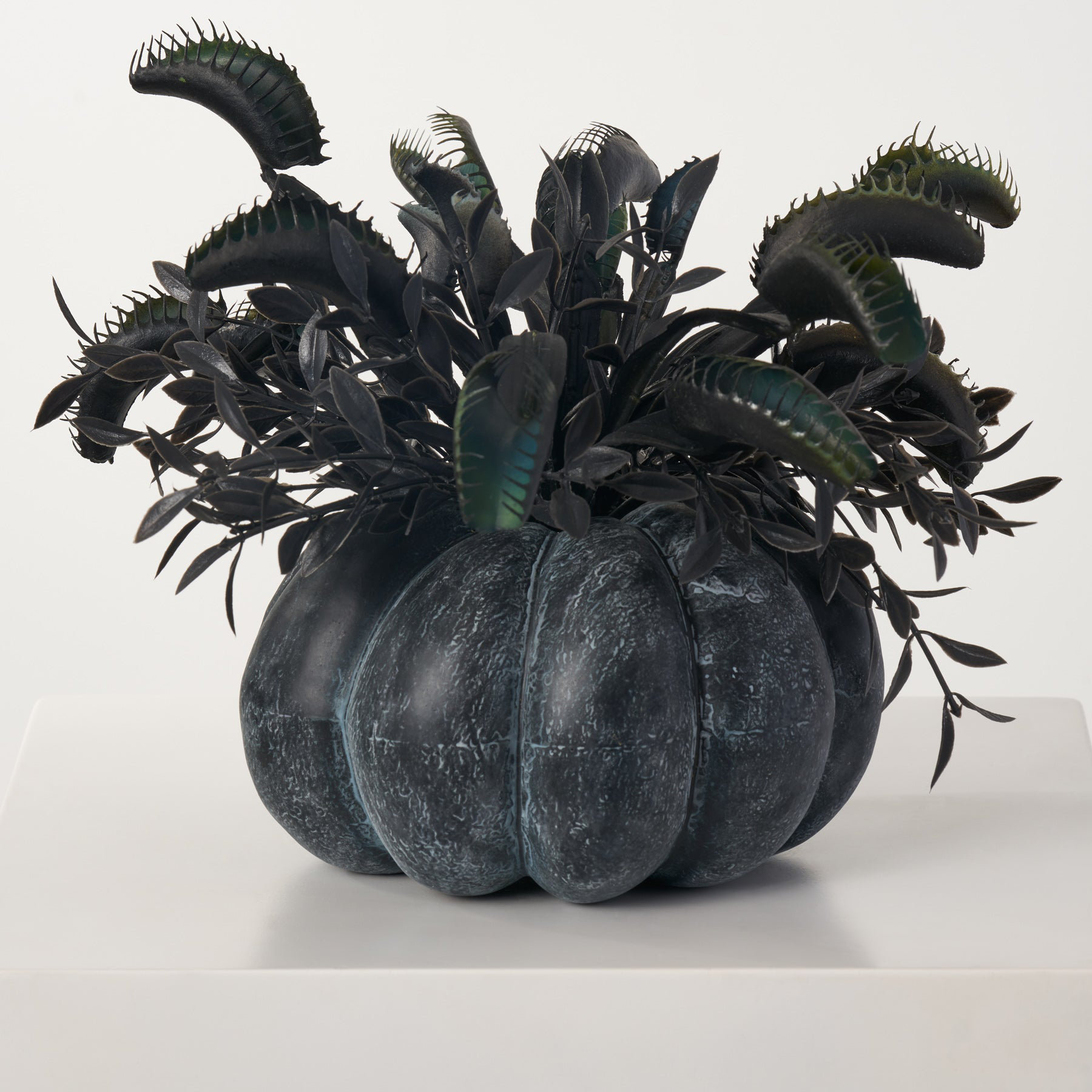 Primrue Enchanted Venus Flytrap Pumpkin Spooky Halloween Centerpiece Fall Decor Arrangement ...