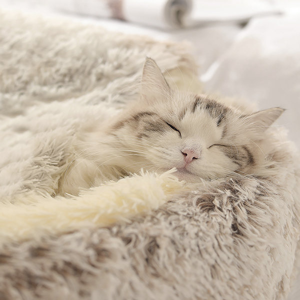 Tucker Murphy Pet™ Balthrop Round Hooded & Reviews | Wayfair