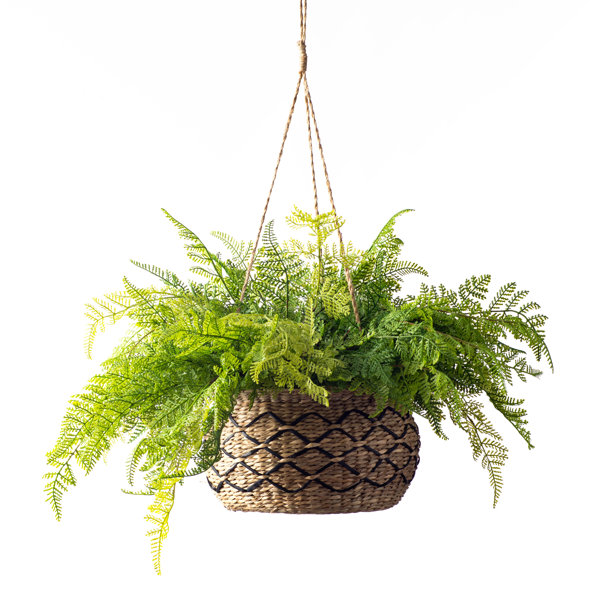 DarbyCreekTrading Polyether Polyurethane (PU) Mixed Hanging Basket ...