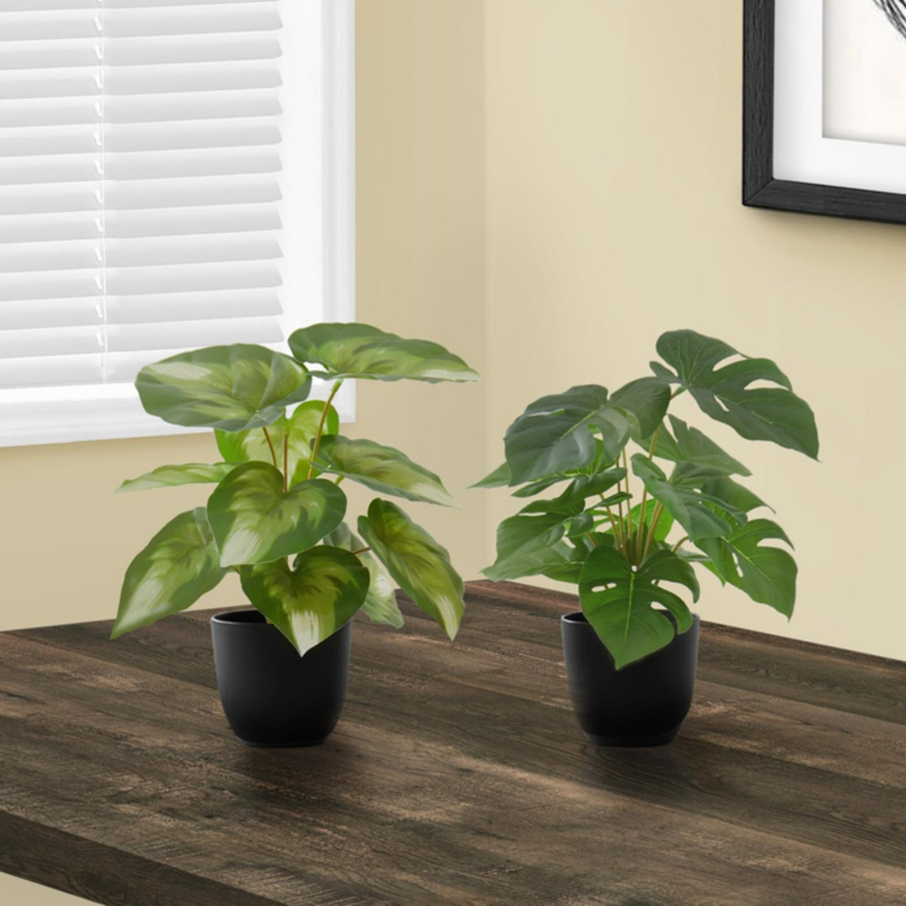 Primrue Set of 2 Monstera Calathea Plants for Modern Decor - Wayfair Canada