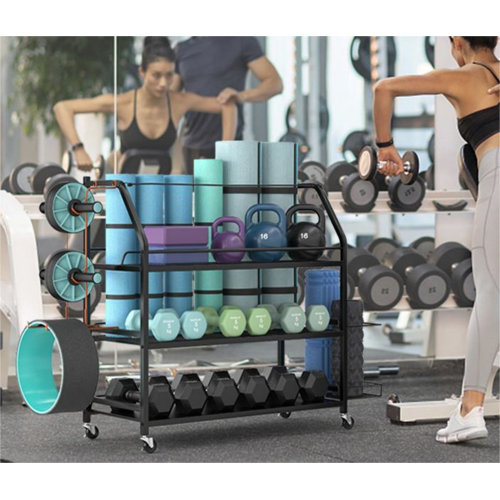 Arlmont & Co. Home Gym Storage Rack & Reviews | Wayfair
