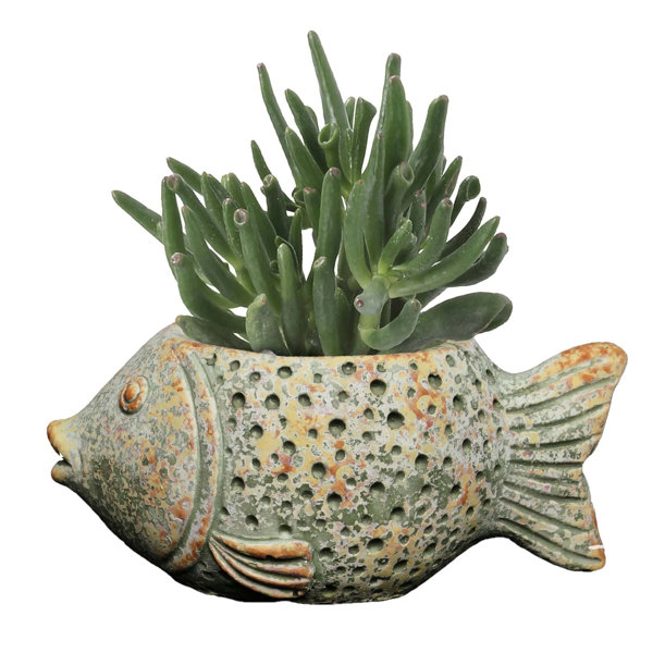 Highland Dunes Anamari Pot Planter | Wayfair