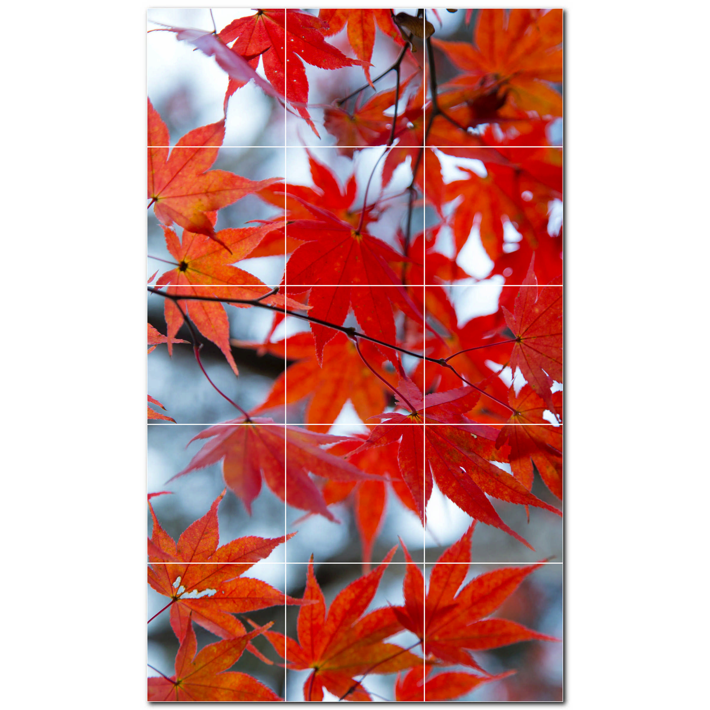 Picture-Tiles.com 18" x 30" Ceramic Autumn Photo Decorative Mural Tile ...