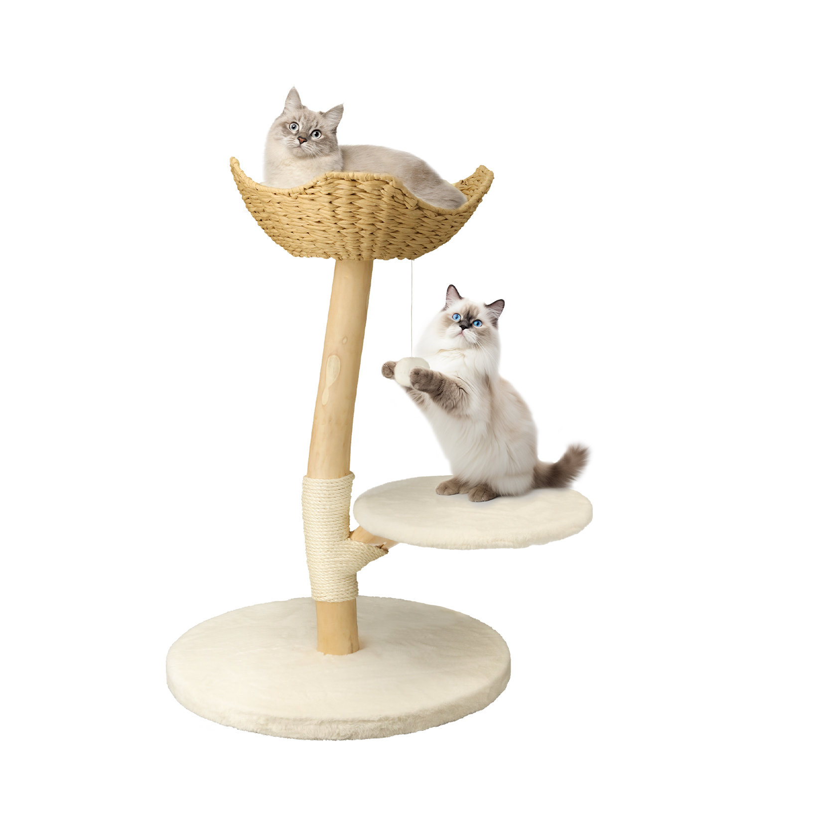 single branch cat tree