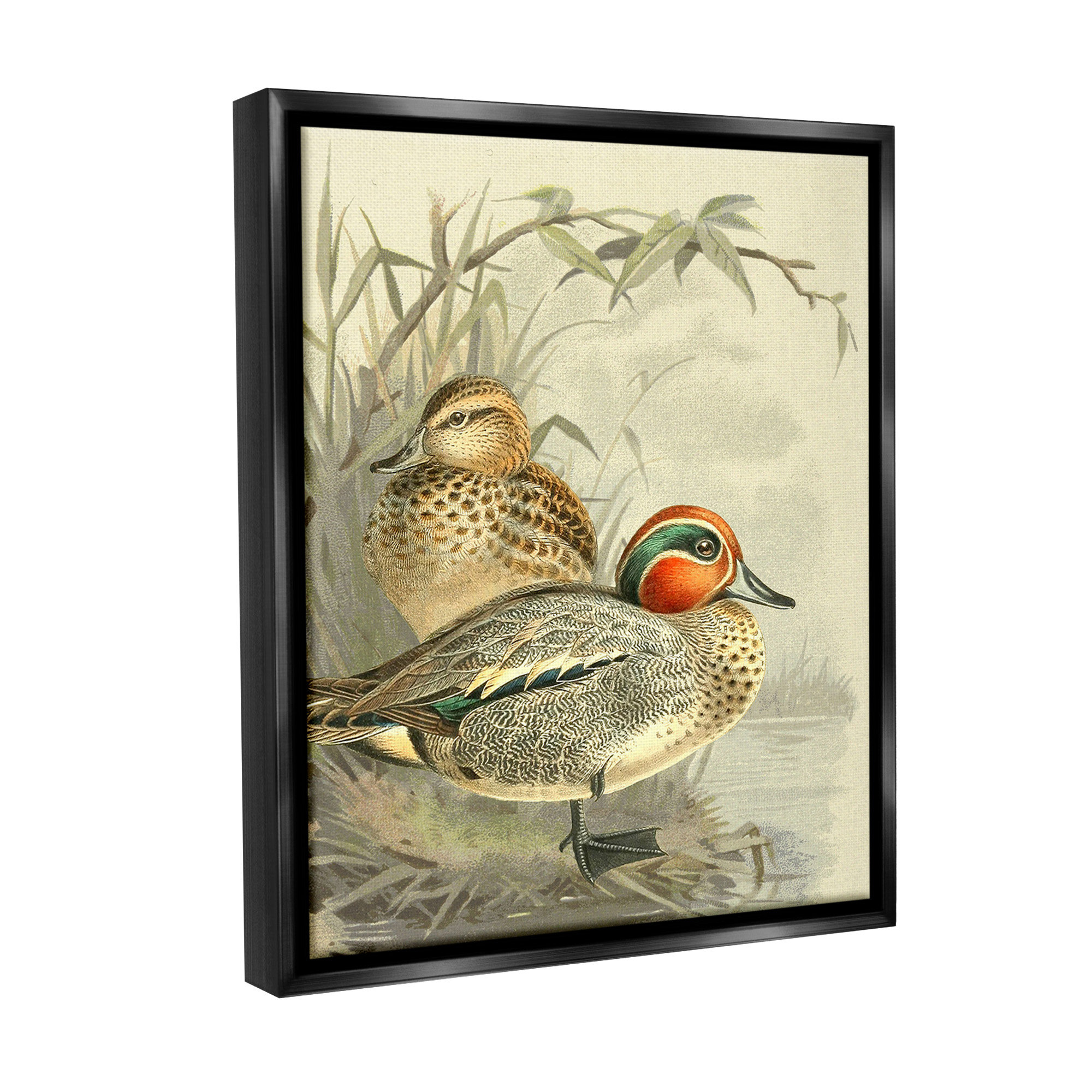 August Grove® " Ducks With Pond Botanicals " by Gail Fraser on Canvas ...