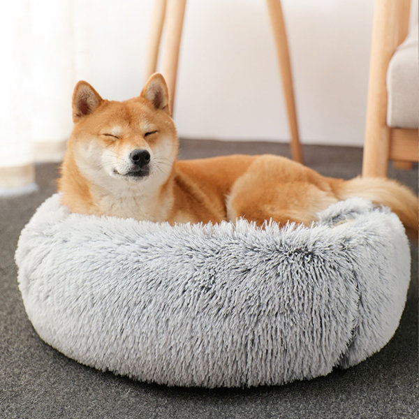 Tucker Murphy Pet™ Balthrop Round Hooded & Reviews | Wayfair