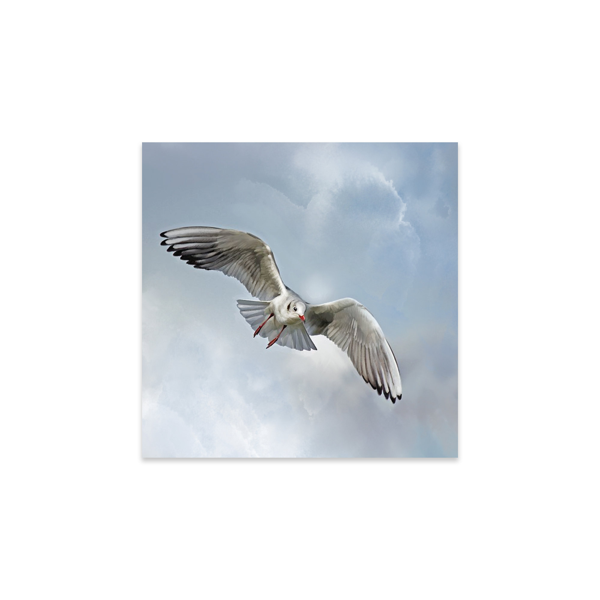 Dovecove Gull Descending Print On Acrylic Glass - Wayfair Canada
