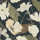 Veer Decor Fairy Blossom Wallpaper Sample | Perigold