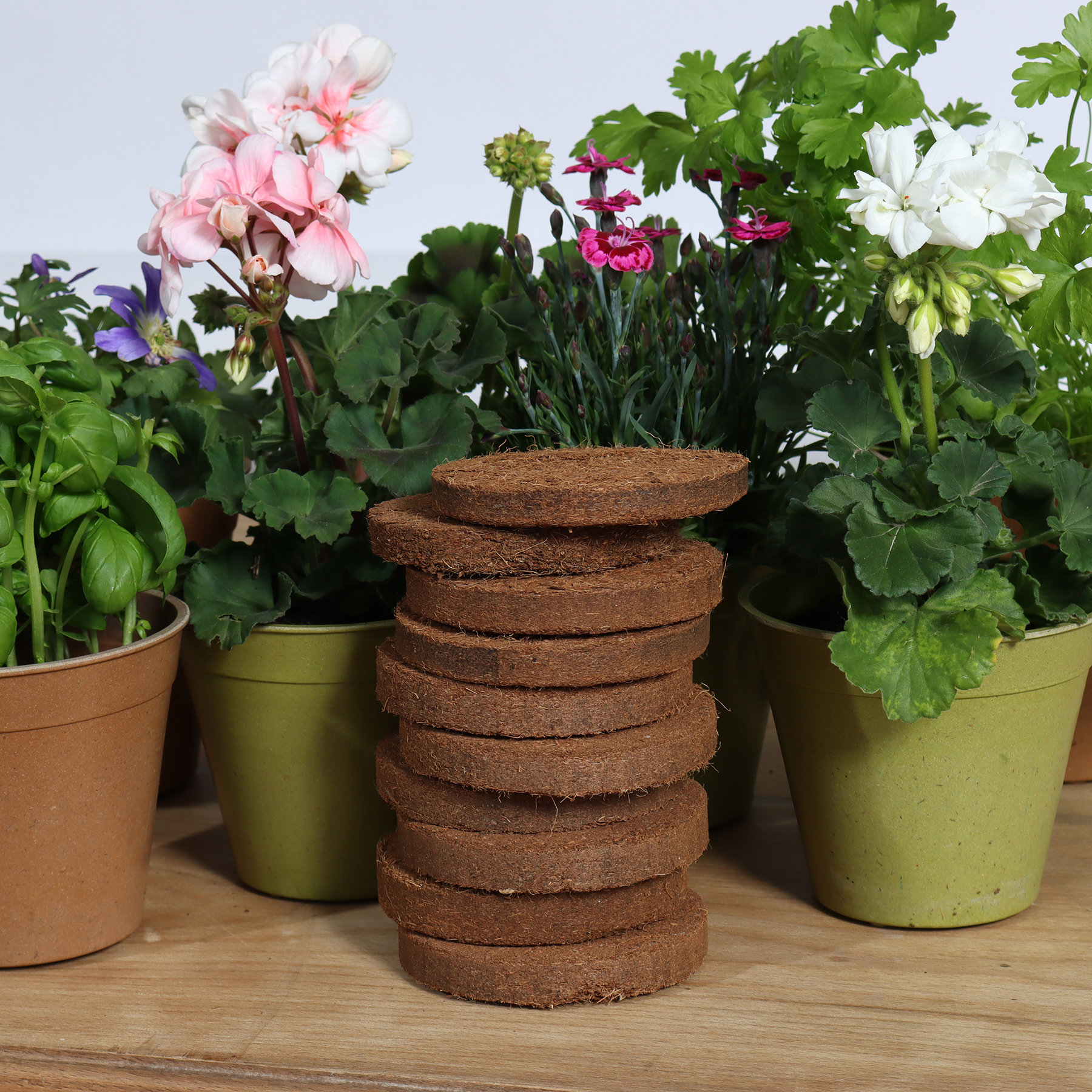 Tierra Garden Dallas Fayence Indoor Ceramic Pottery Kit - Wayfair Canada