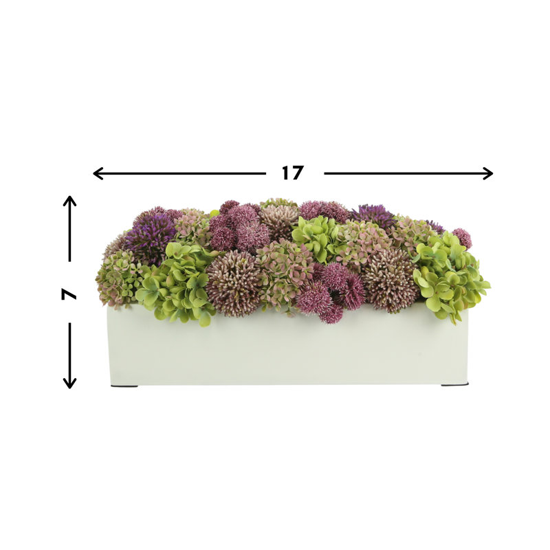 Primrue Hydrangea and Allium in Rectangular Planter | Wayfair