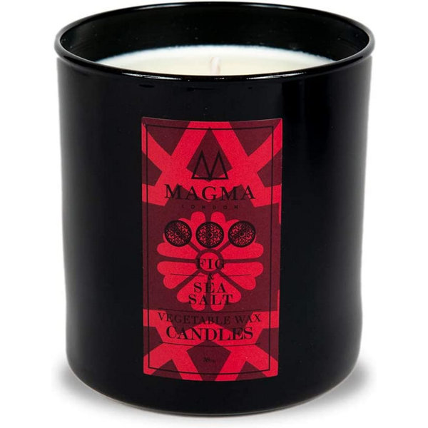 Magma London Fig And Sea Salt Scented Jar Candle | Wayfair.co.uk