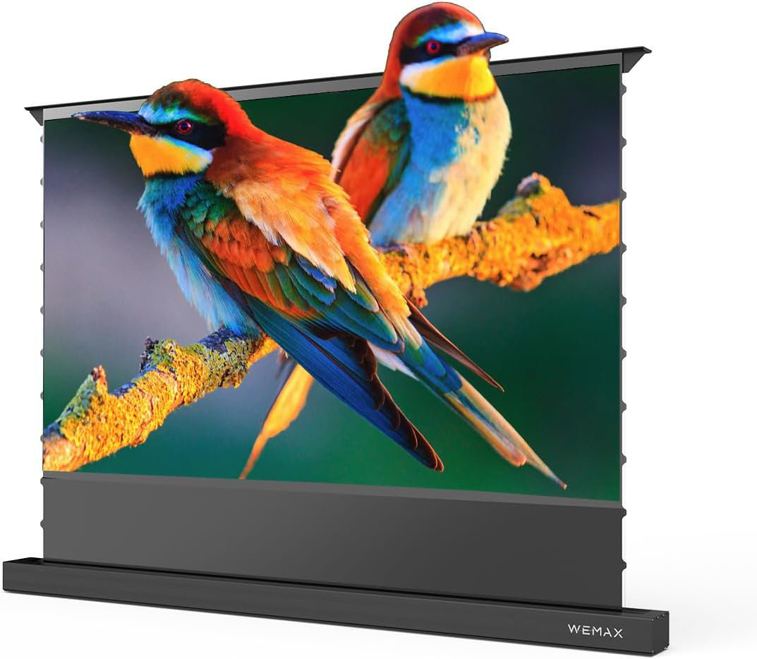 WEMAX Electric Projector Screen w/ Smart Voice Control, 4K UHD 0.85 ...
