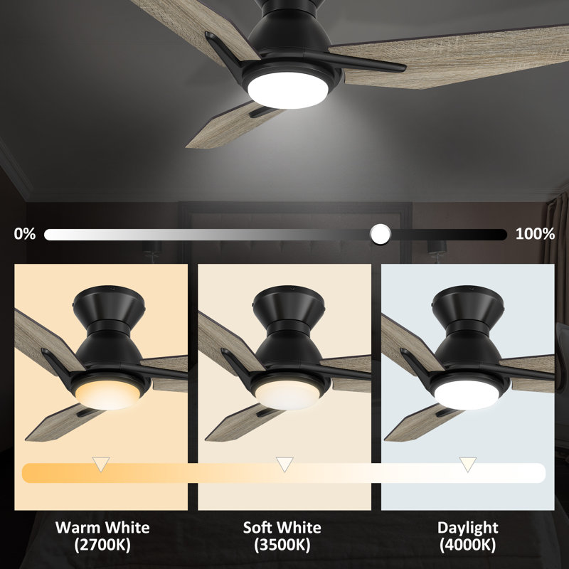 Ivy Bronx Elegis 44'' Ceiling Fan with LED Lights | Wayfair